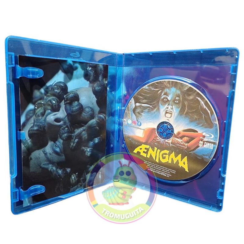 Aenigma (1987) | Bluray Fansub – Gym Up Store